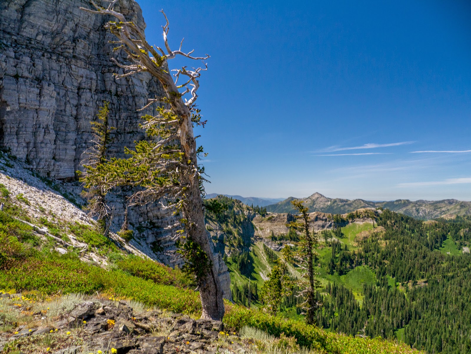 Footprints: Marble Mountain Wilderness, Jul 3rd to Jul 6th