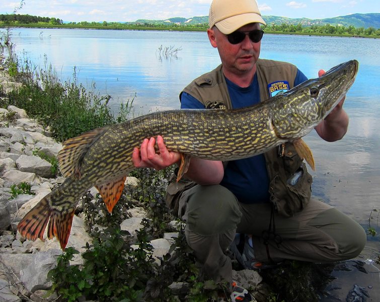 Croatia Fishing: Sve što ste htjeli znati o štuki