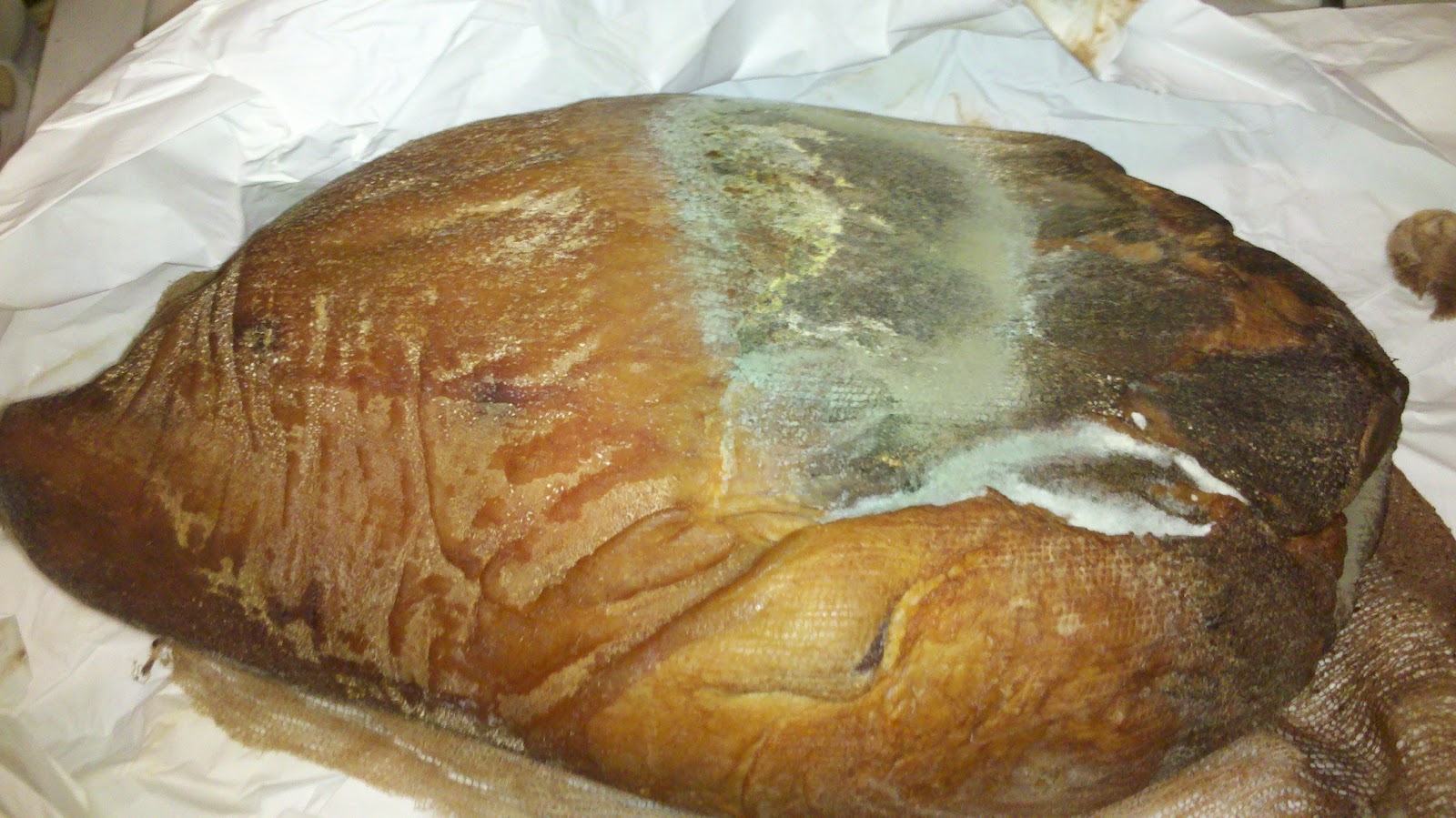 Adventures of an occasional nature