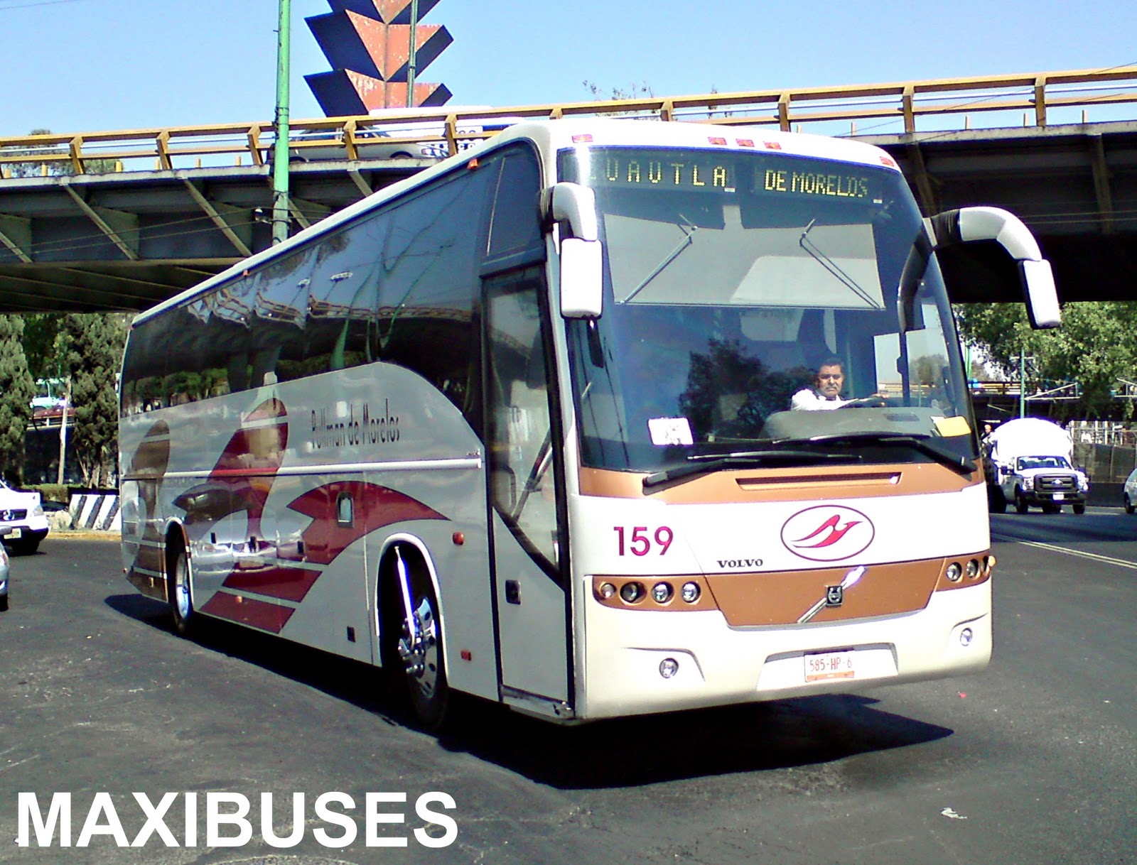 MAXIBUSES: PULLMAN DE MORELOS