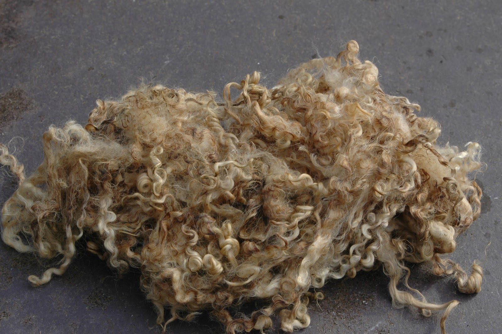 Markree Wool Craft: Ferment Wash Suint Method the end result