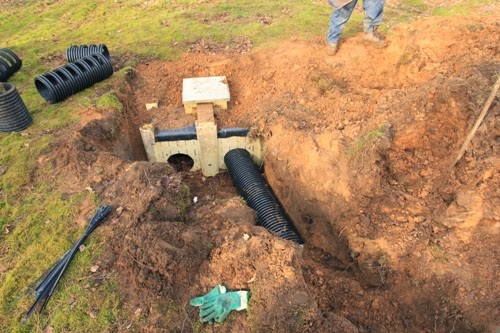 A Day In the Life of a Wildlife Artist: How I Built an Artificial Fox Earth