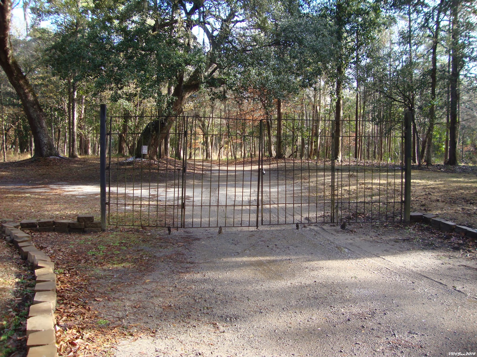 Vacation Rick: The Lesser Known Great Plantation Along the Ashley River ...