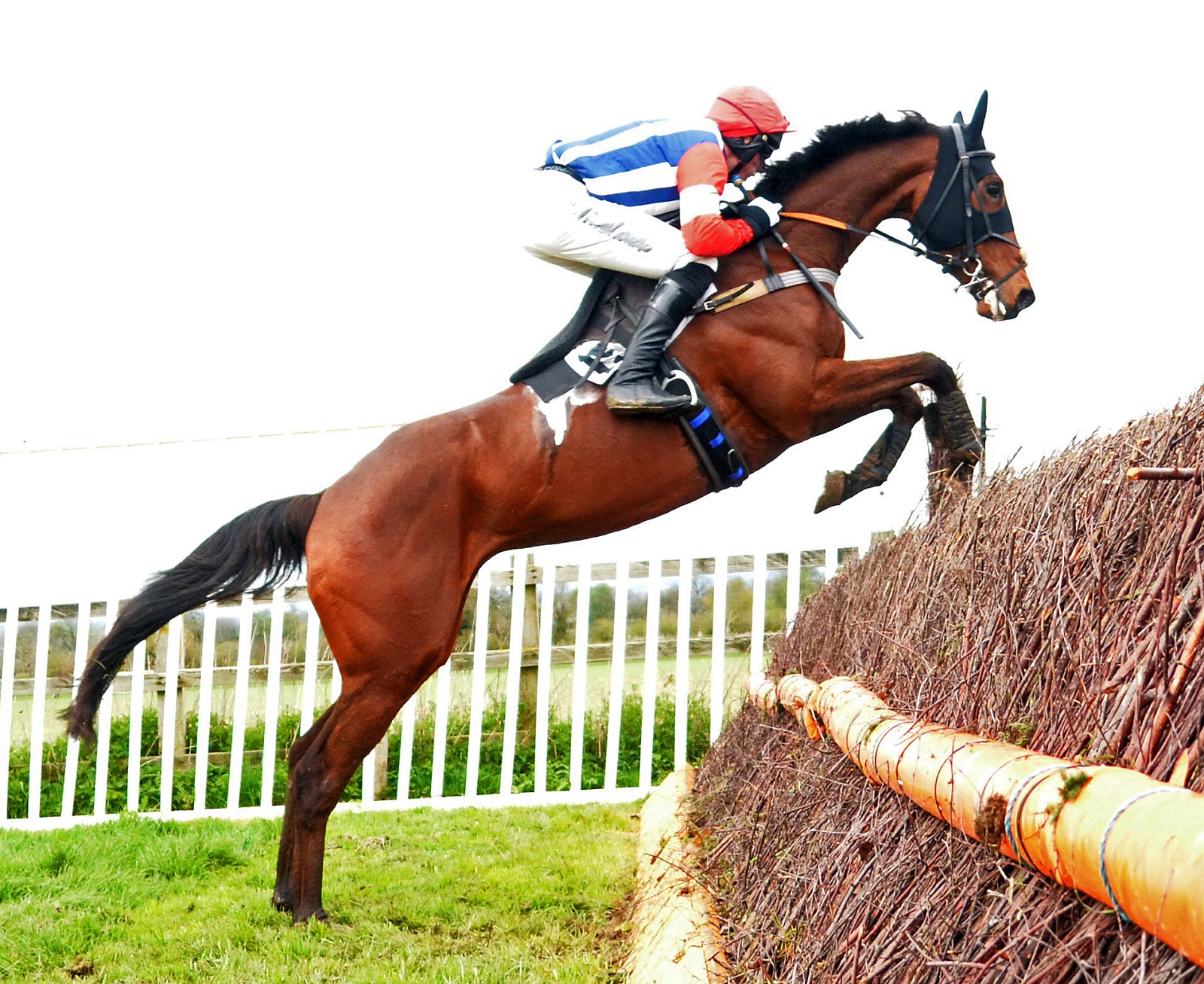 www.mjayphotography.co.uk: The Kimblewick hunt point to point Kingston ...