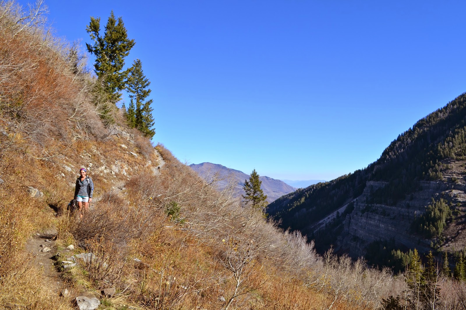 Katie Wanders : Mount Timpanogos, Utah - Hiking to the summit on the ...