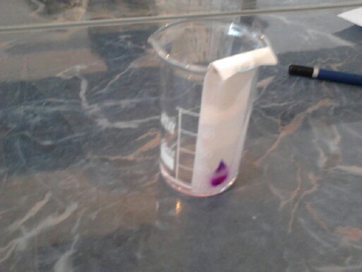 Micul Chimist