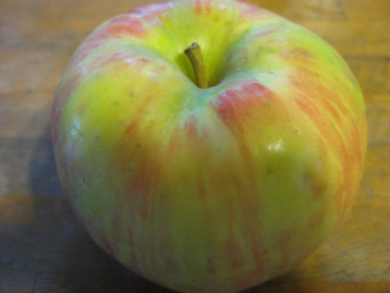 From Hand and Heart: Apple Harvest