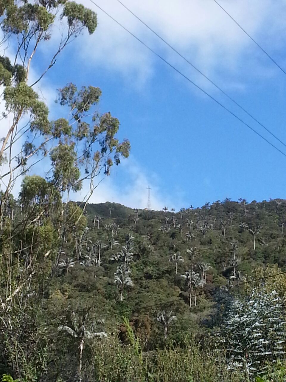 Andando por Venezuela: Pico Codazzi