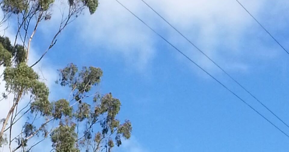 Andando por Venezuela: Pico Codazzi