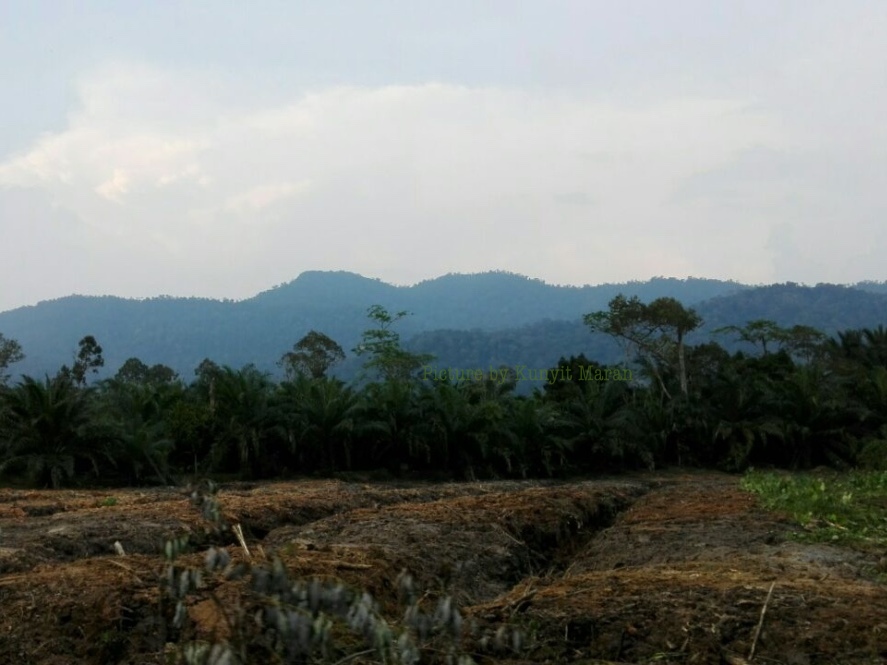 GambaQ [ L e a n n Y ] PhoTos: Gunung Berantai, Maran - Part 1/4