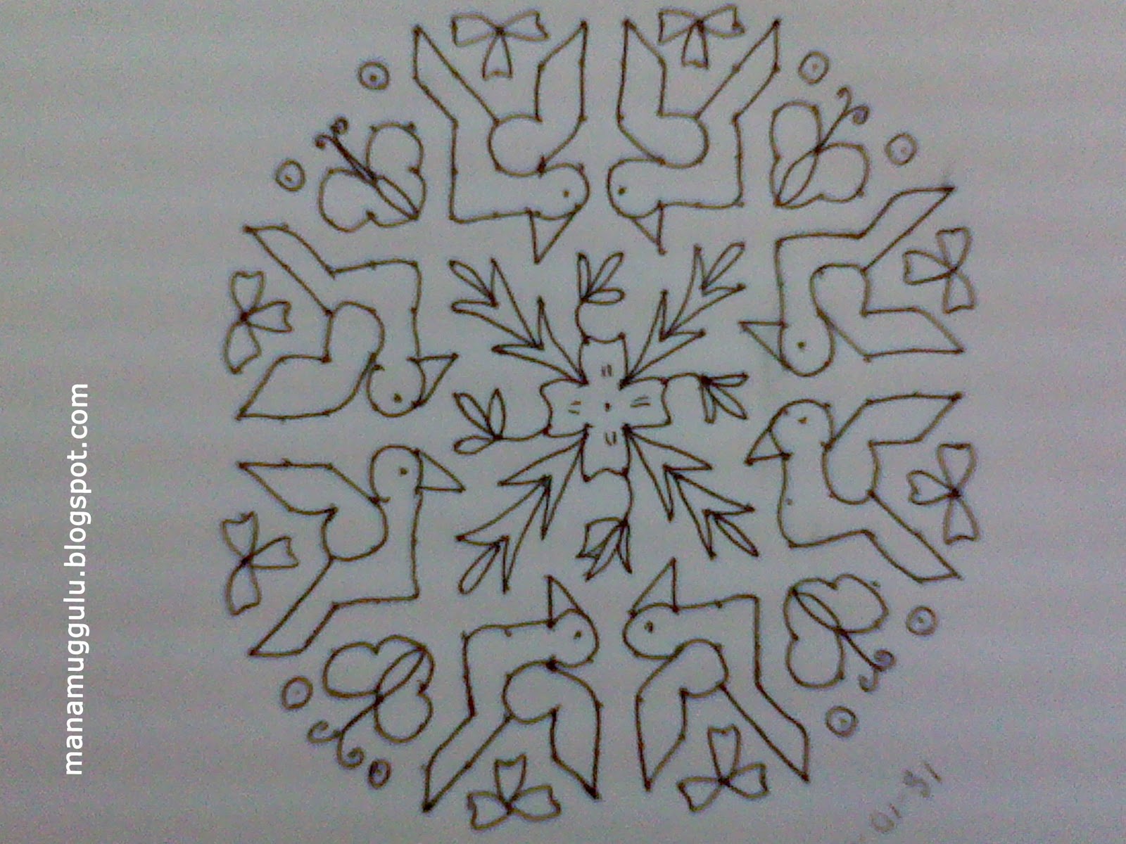 TELUGU WEB WORLD: SANKRANTHI FESTIVAL SPECIAL - FLOWER MUGGULU ...