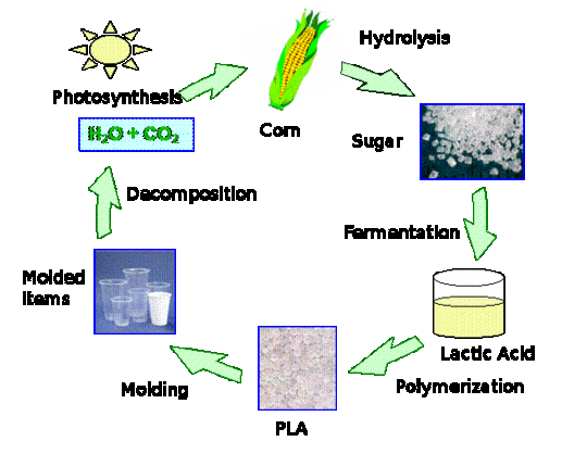 Biodegradable Polymer: Introduction