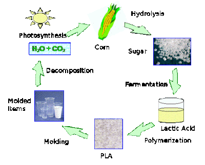 Biodegradable Polymer: Introduction