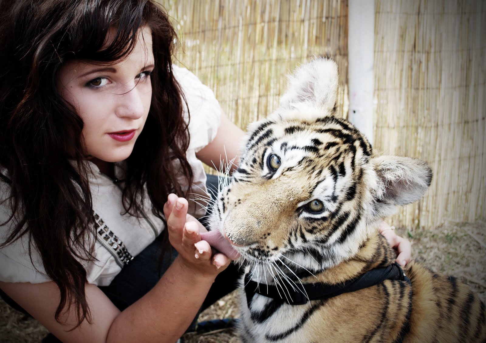 The real teen tiger mom