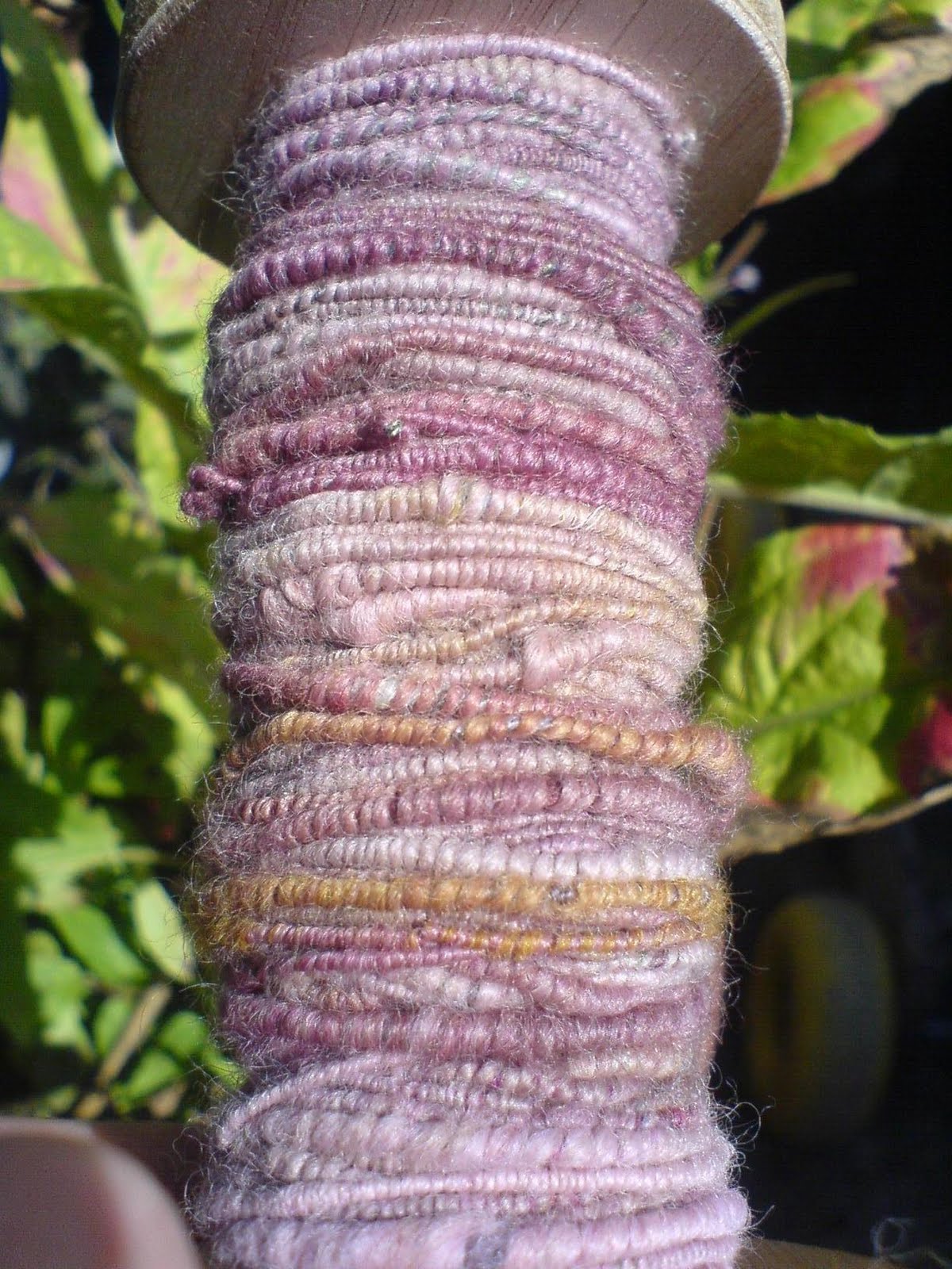 Fat Hen Wild Wool: TDF Finis: Coils!