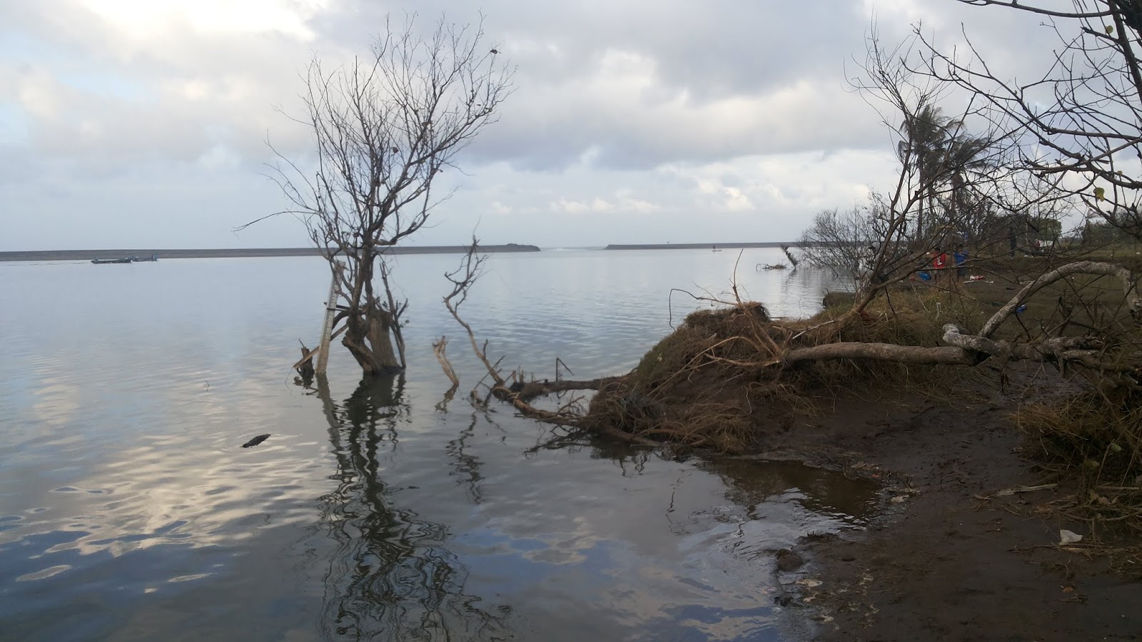 Kawasan Wisata Mangrove Baros ~ jejak44