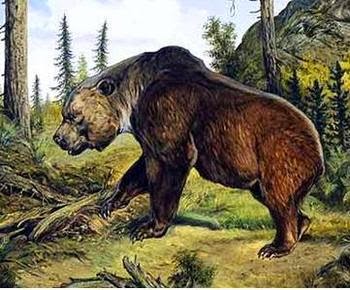 Echoes from the Geekcave: RMA: Of Cave Bears and Clans