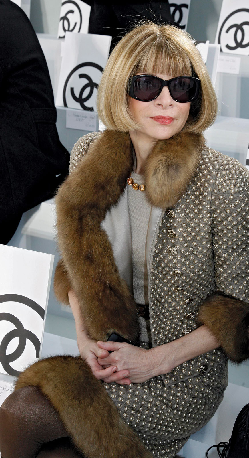 Bunnylogue Anna Wintour In A Few Sentences