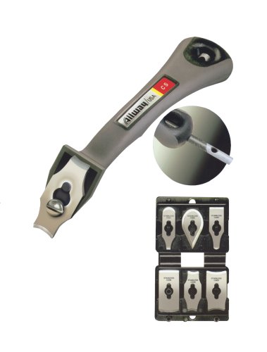 Laurelhurst Craftsman Bungalow: Paint Scraping Tools