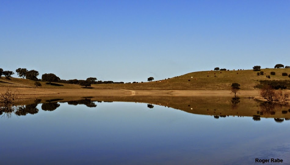 O melhor Alentejo do Mundo: Vale Figueira (By Roger Rabe)