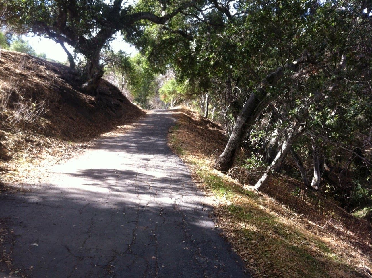 J and A's Excellent Adventure: Excellent walk in the Bay Area: Sabercat ...