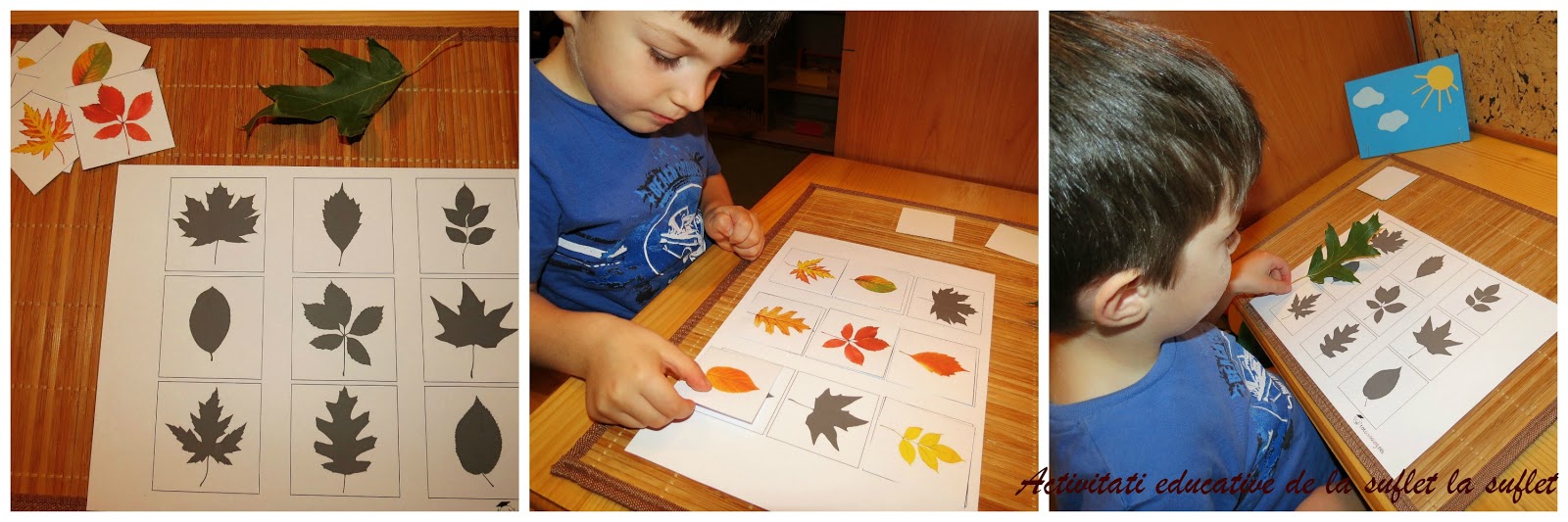 Activitati educative de la suflet la suflet: Toamna e plina de frunze ...