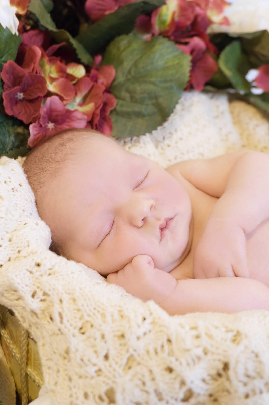 Second Chances by Susan