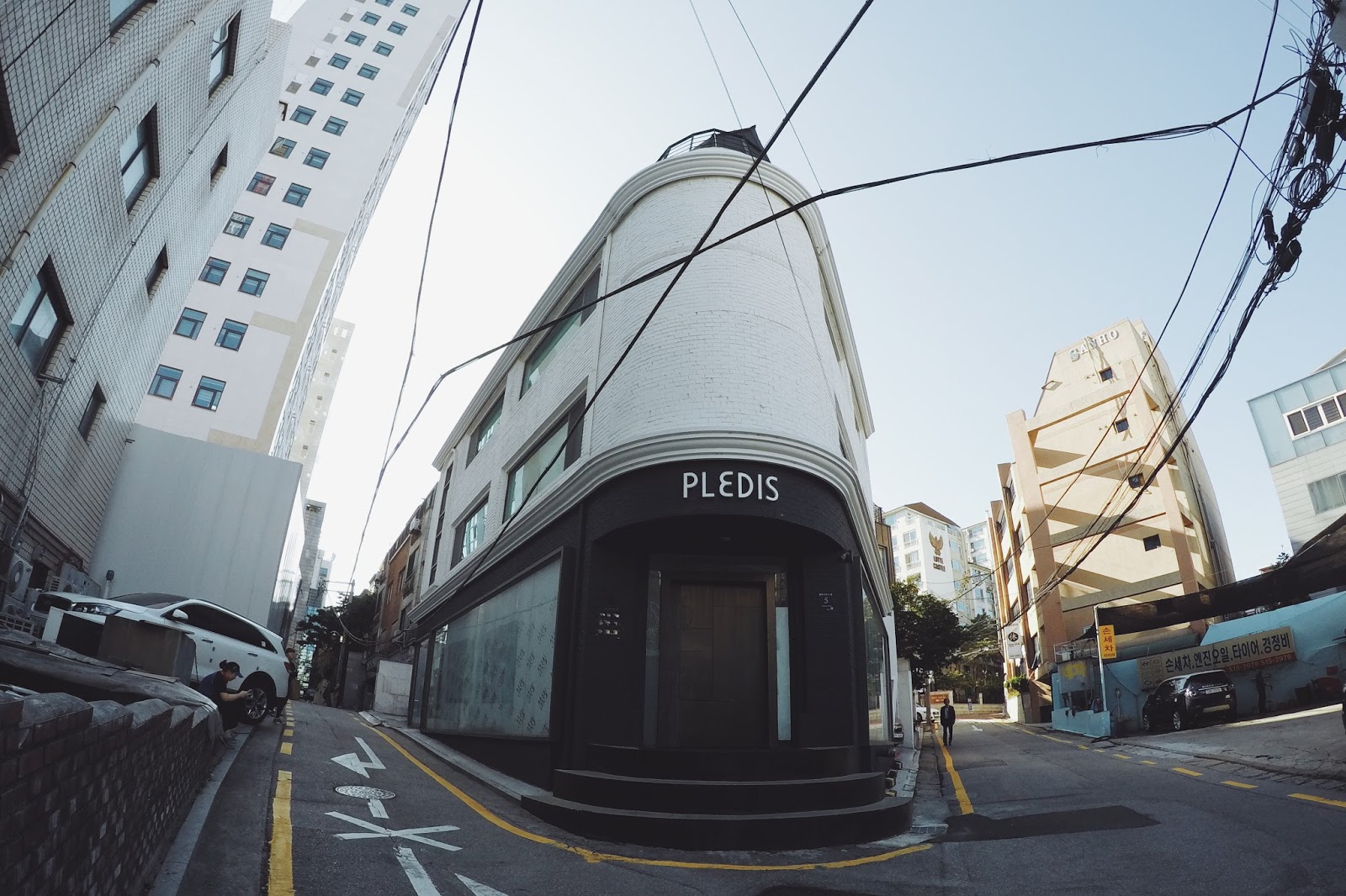 Korean Entertainment Agency: Pledis Entertainment (플레디스 엔터테인먼트) | Her ...