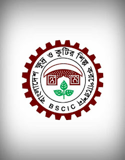 bscic logo vector | designway4u