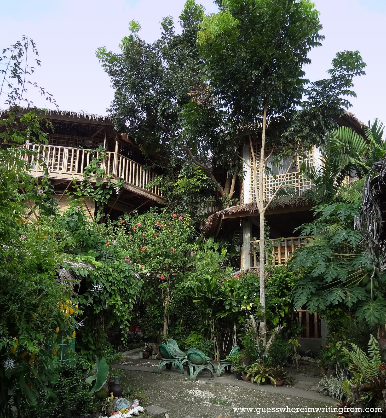 Guess where I'm writing from?: My Childhood Playground, Bohol!