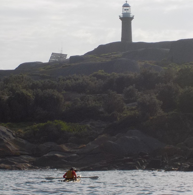 The Conspiracy Times: Mystery Bay to Montague Island by Sea Kayak
