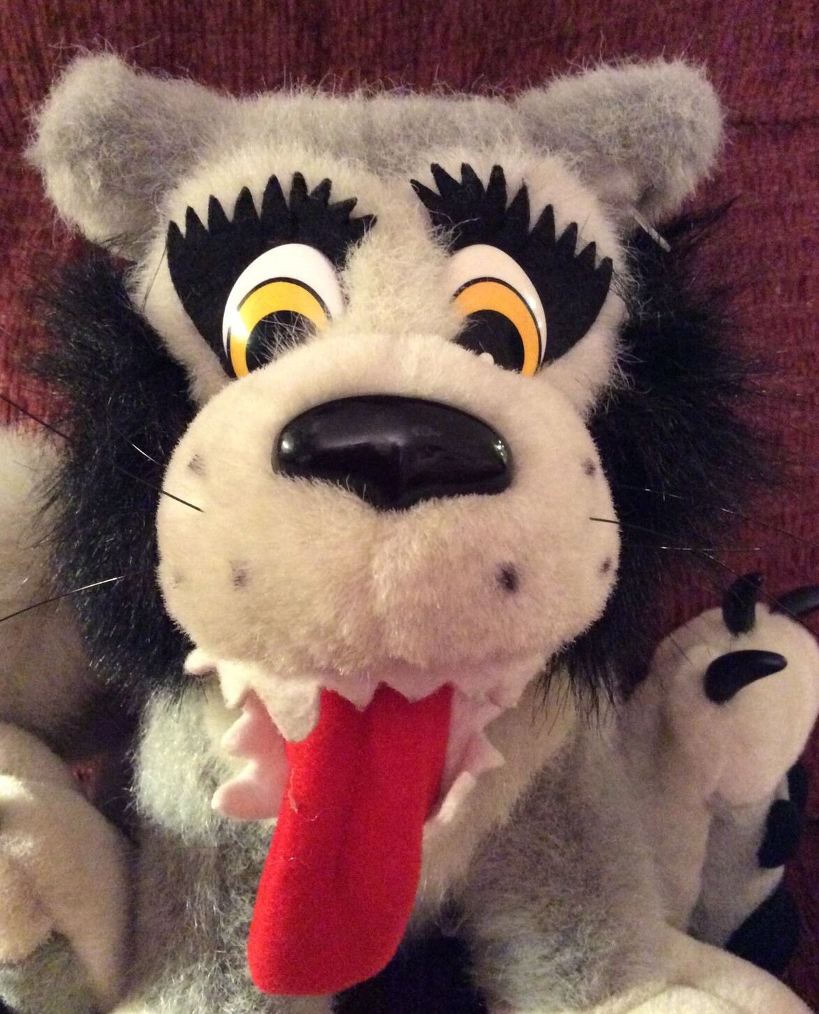 Dan Alexander Dizmentia: Busch Gardens: Fly Like An Eagle, Or A SheiKra ...