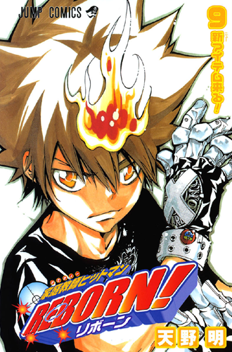 ITSU NO MA NI Anime Blog: "Katekyo Hitman REBORN!" Manga covers collection