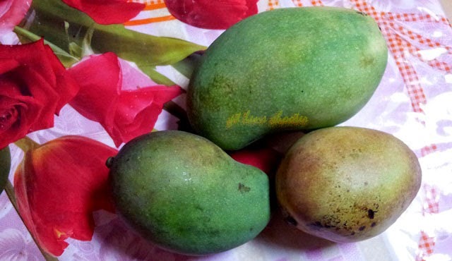 Sesawang Maya WarnaSari (ส่าหรีสี) : Mempelam Datang Lagi