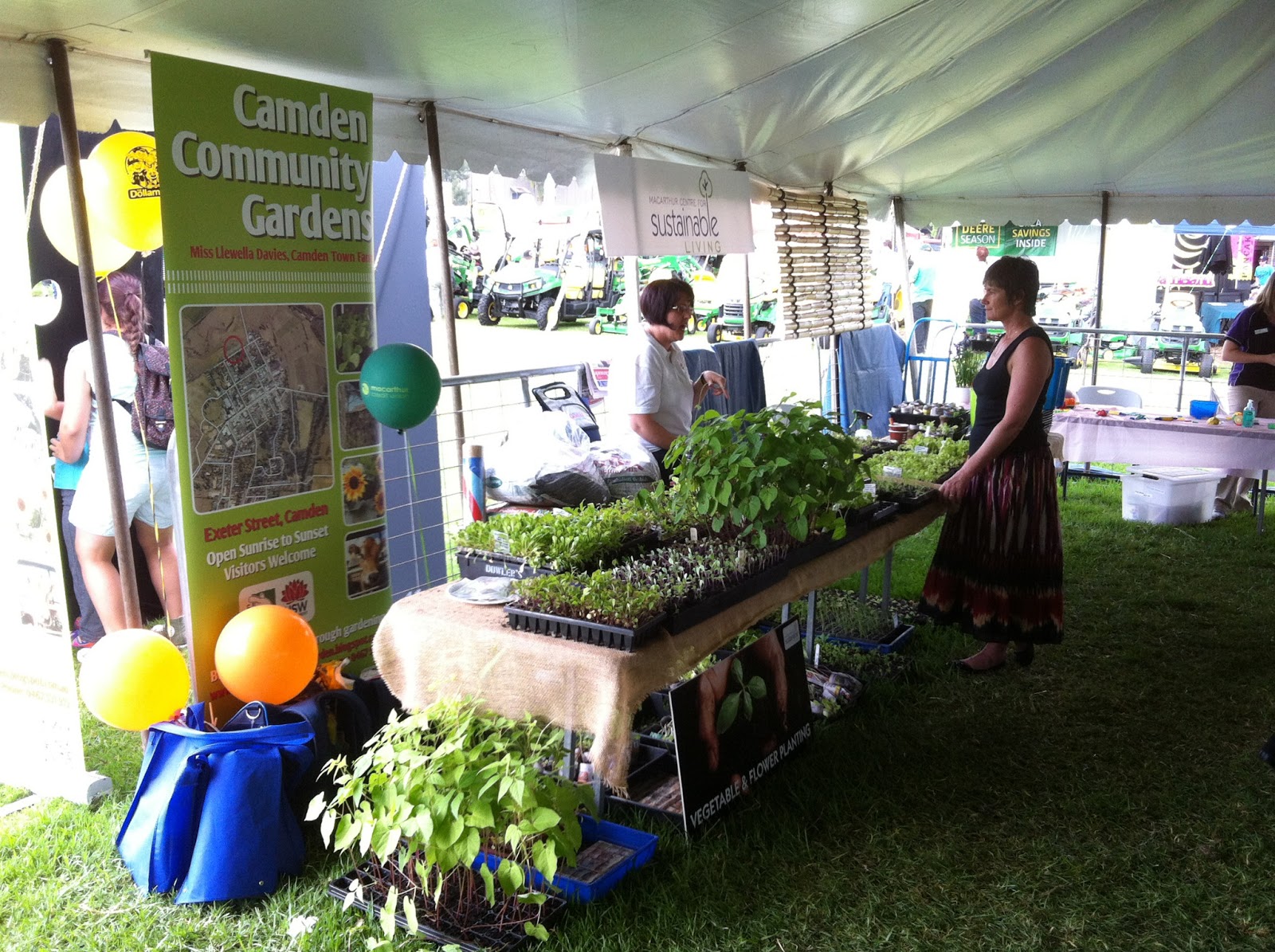 Camden Community Garden: Community Engagement