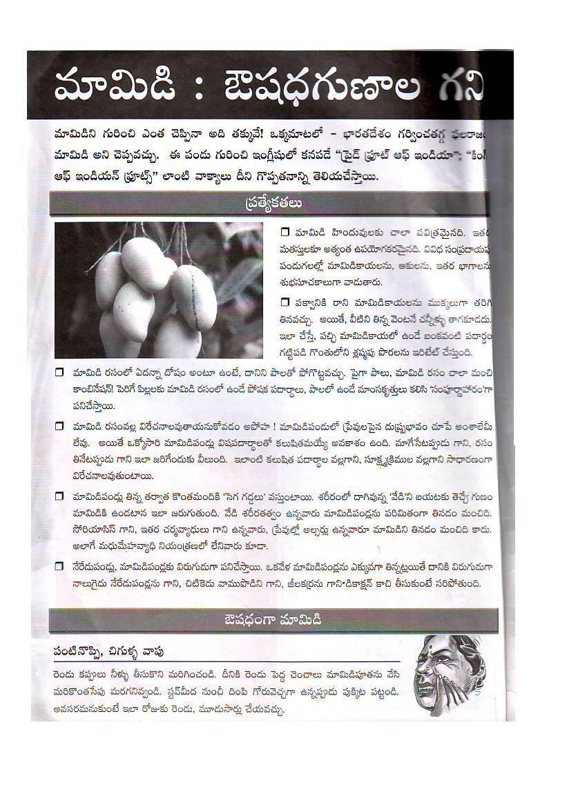 AYURVEDAM - ఆయుర్వేదం: MAMIDI ( MANGO ) - AYURVEDAM