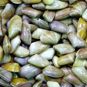 La familia en la cocina: Tallarinas abiertas a la plancha con su ajito ...