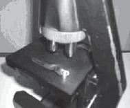 Pengertian Mikroskop dan Gambar Bagian-bagian Mikroskop beserta ...