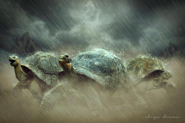 .: KARYA FOTOGRAFI TERBAIK MALAYSIA!!