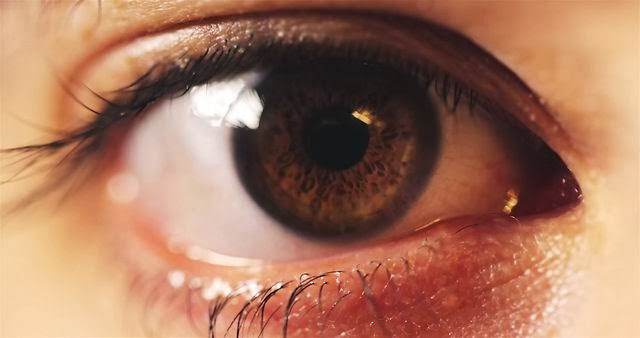 If the human eye was a digital camera it would have 576 megapixels ...