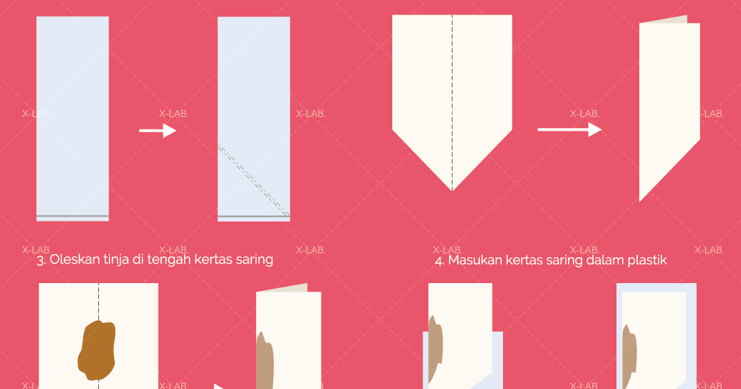 Mengenal Teknik Pembiakan Larva Cacing Metode Harada Mori — ATLM