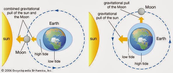 Fakta Menarik Mengenai Bulan |MyRokan