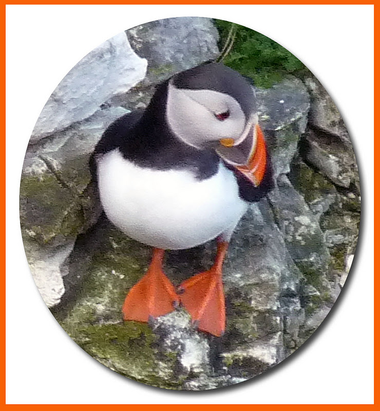 Caroline Gill: Poetry and Other Writing: 2011