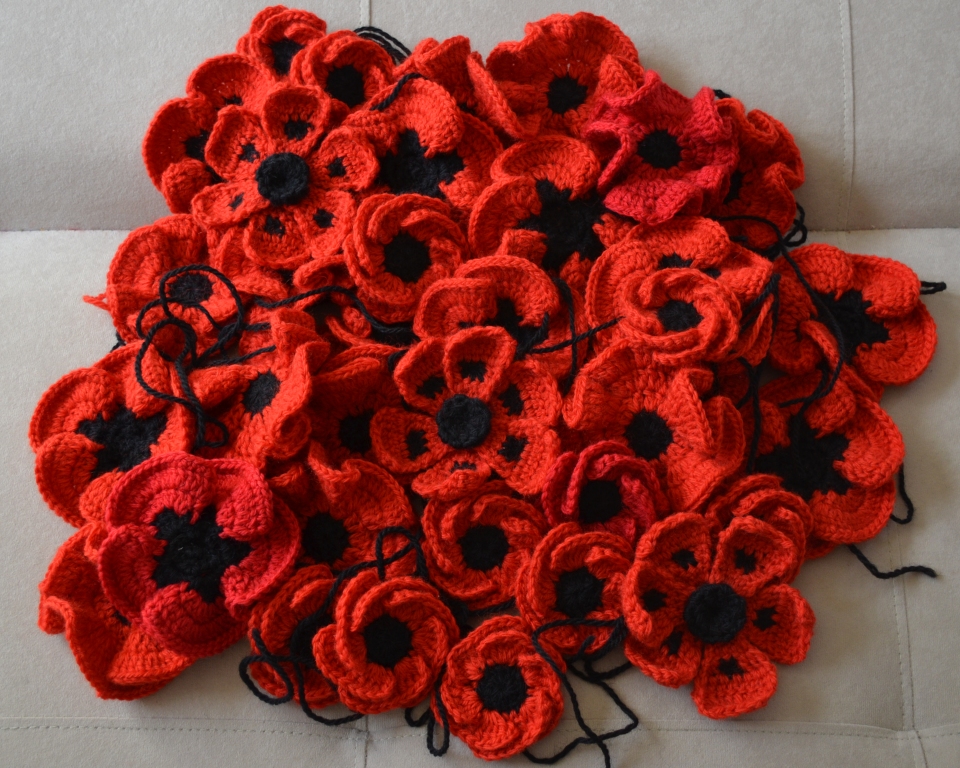 Lupey Loops: 5000 Poppies on the Radio