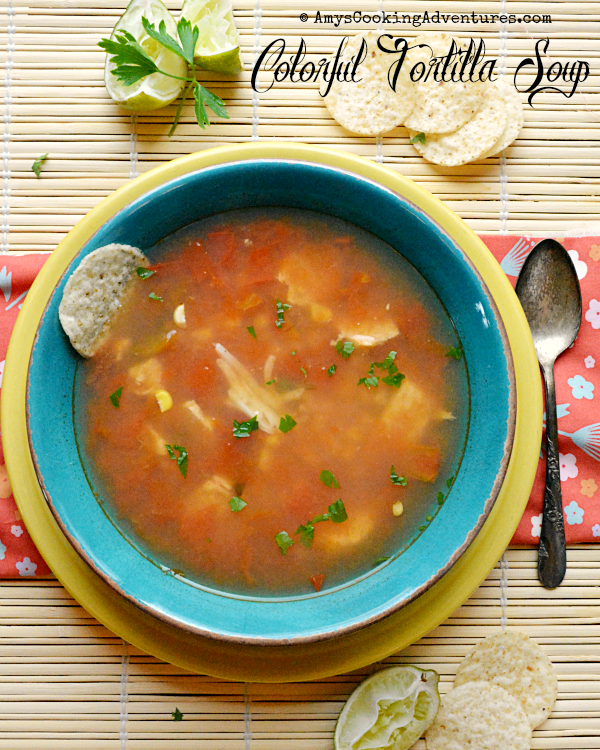 Colorful Tortilla Soup