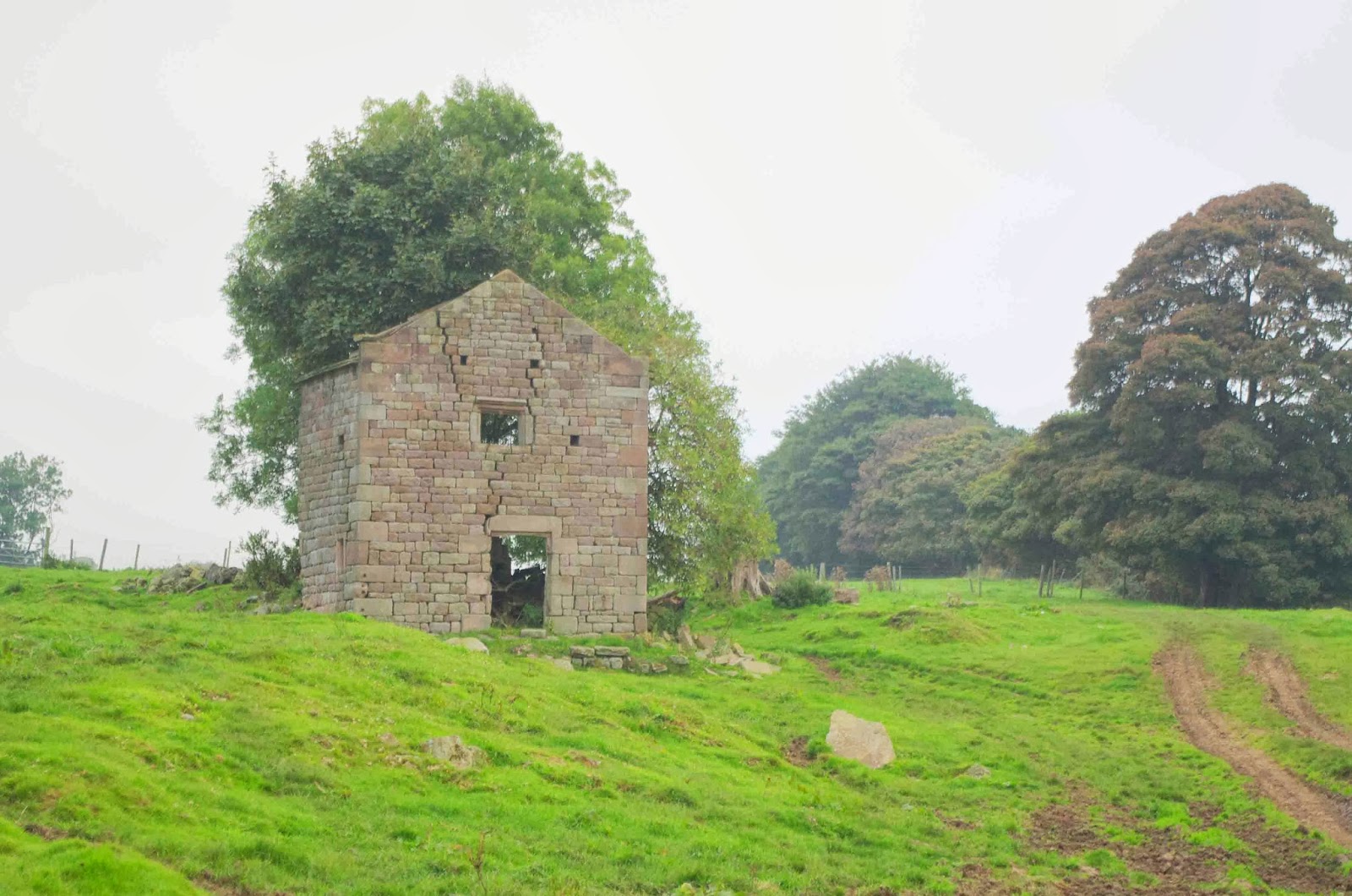 Out & About: Sheen Hill & The Scary Spider