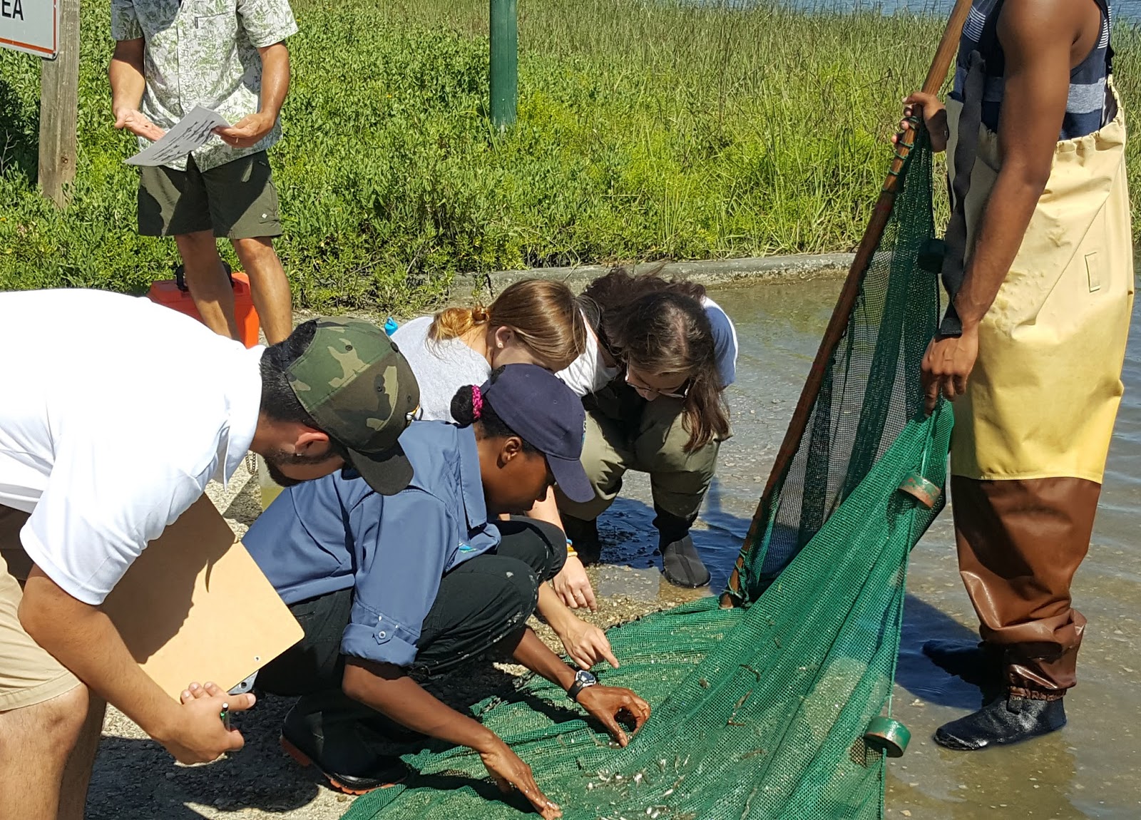 Seining: What's That?
