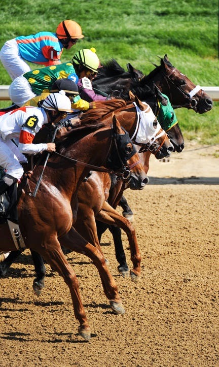 FOCAL POINT STYLING: Talk Derby to Me: DIY Derby Style Entertaining Ideas