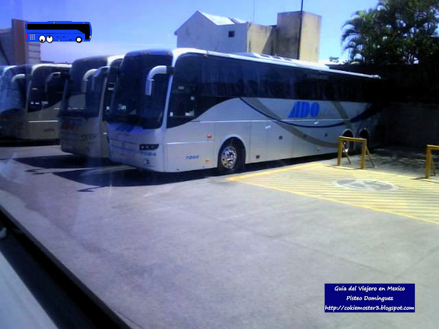 ADO, su historia NO oficial