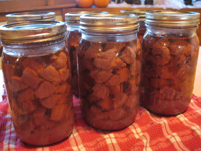 Creative Chicks: Canning Venison